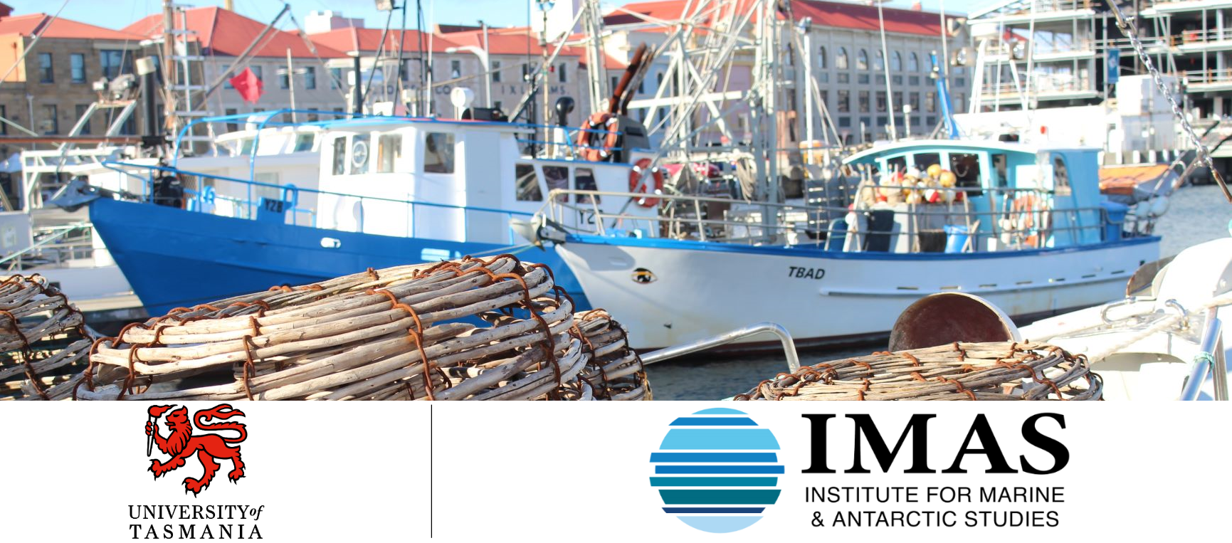 Giant Crab - Tasmanian Wild Fisheries Assessments