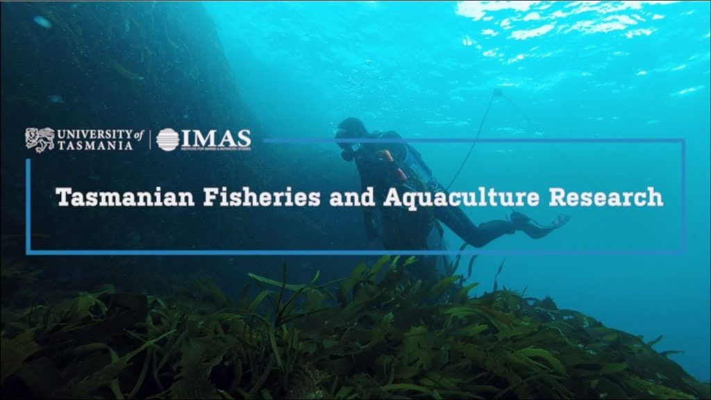 Tasmanian Wild Fisheries Assessments Home