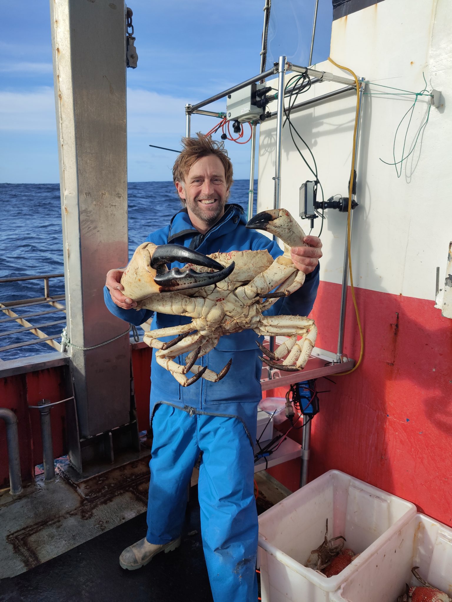 Giant Crab - Tasmanian Wild Fisheries Assessments