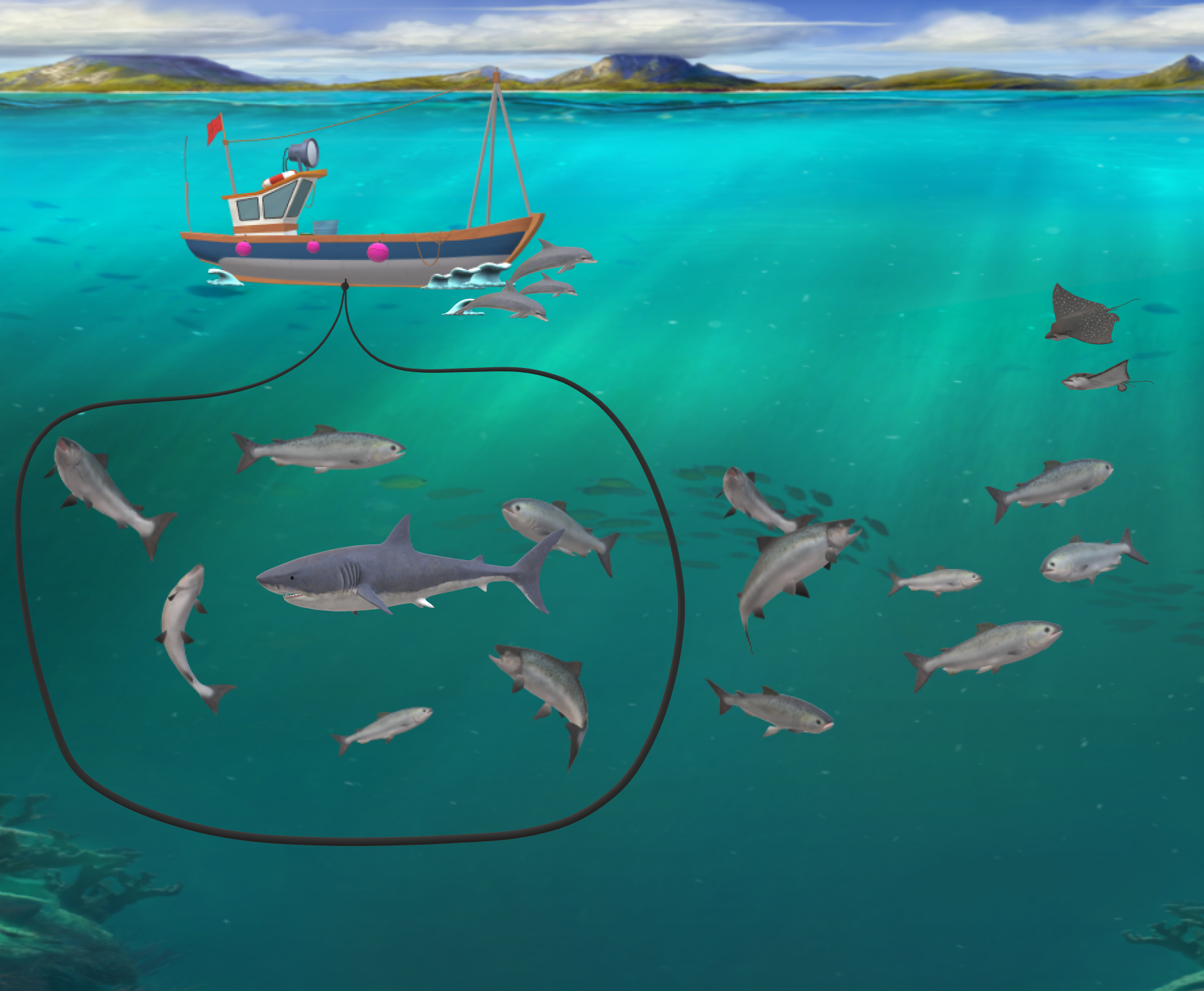 Fisheries Terms and Concepts